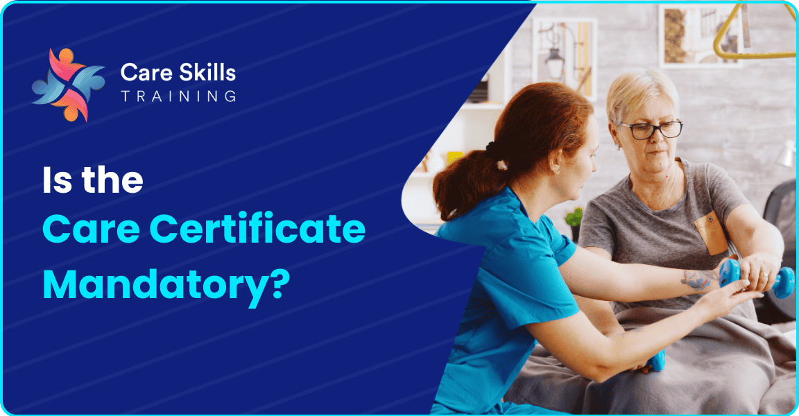 What Are TLRs In Teaching? Exploring The Tasks And Roles